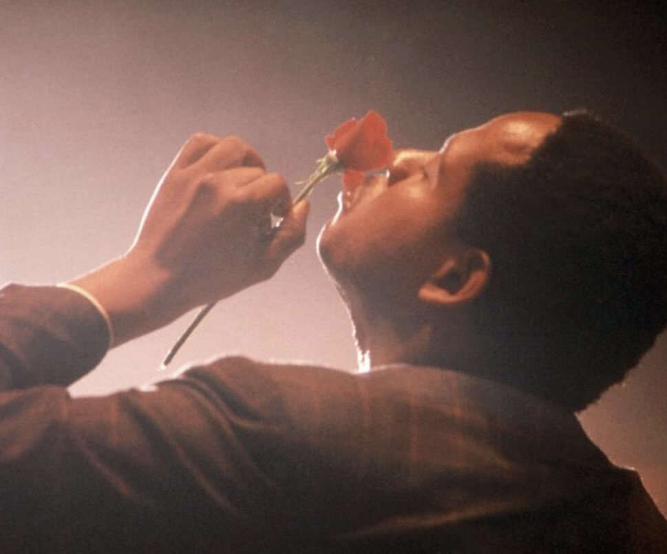 Sommerkino Open Air im Cinema Quadrat - Delta im Quadrat - Stadtmagazin ...